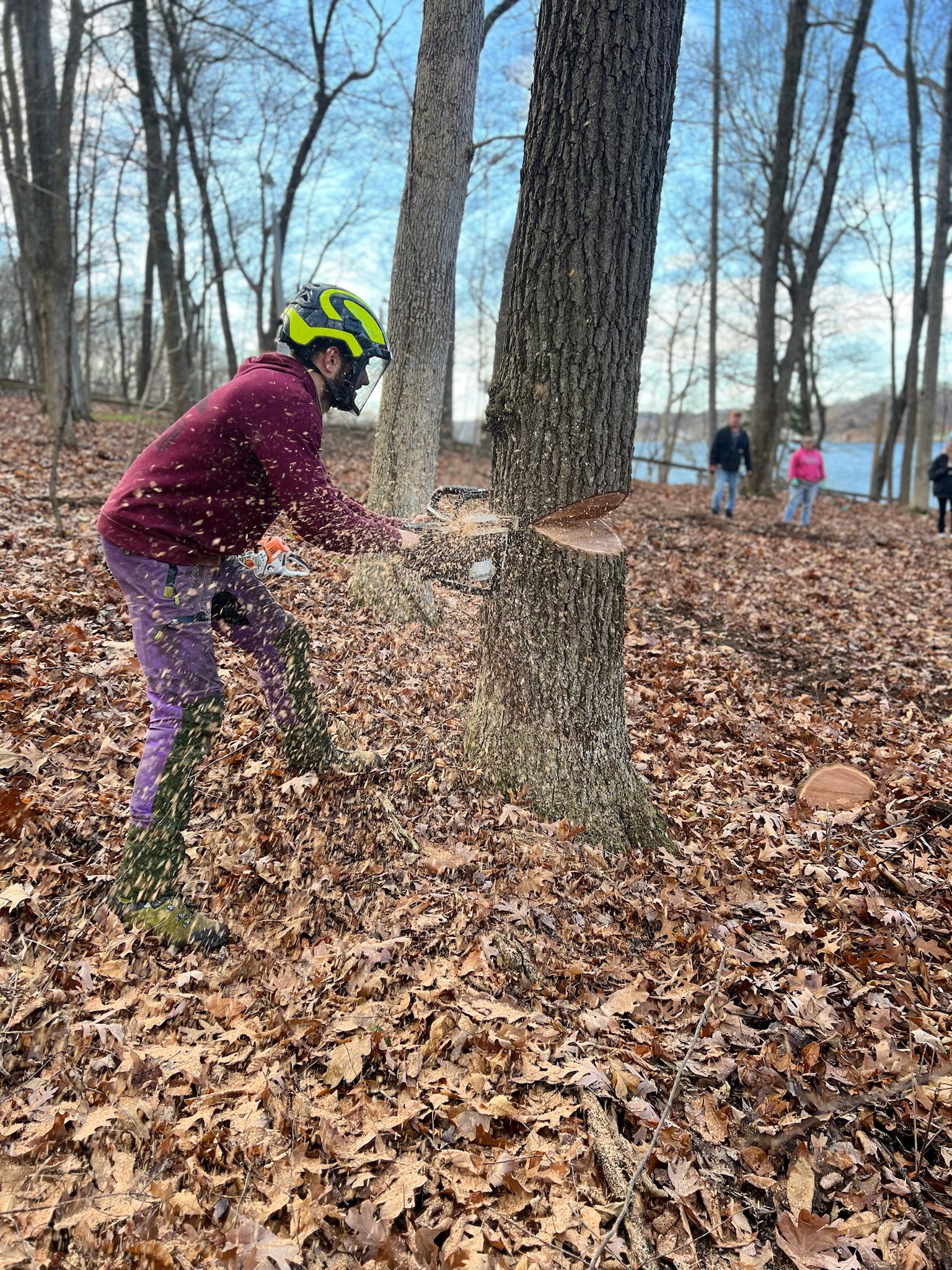 Community Involvement – TimberTech Arboriculture & Training